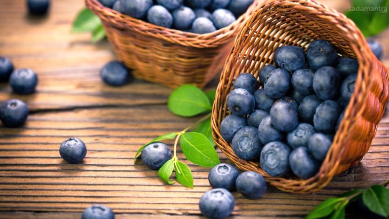 Blueberry: Buah Super yang Kaya Nutrisi & Manfaat Kesehatan